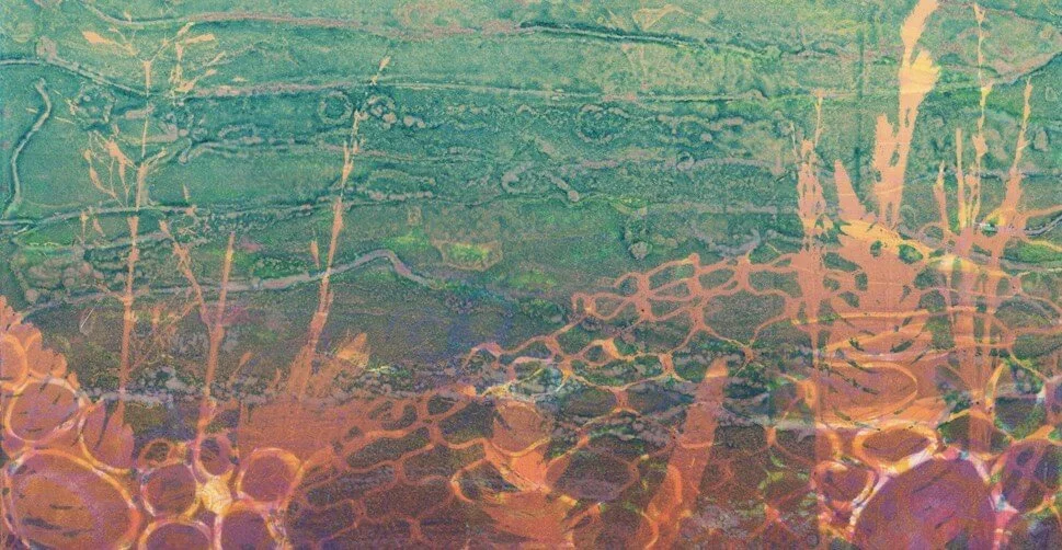 New Art Prints — Carol Nunan Printmaker