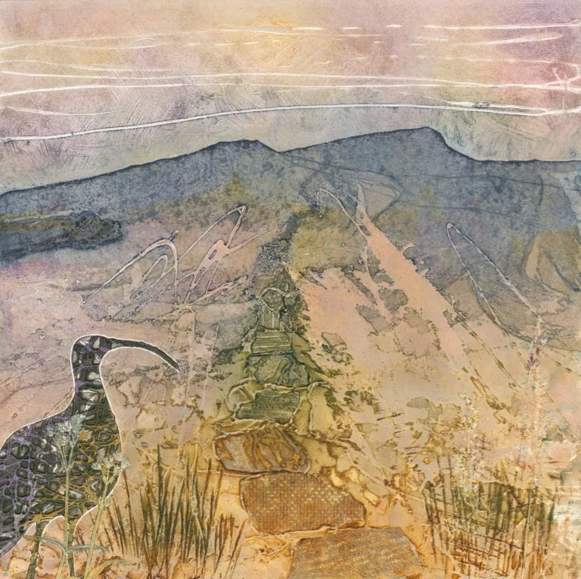 Greeting Cards - Buy Online — Carol Nunan Printmaker