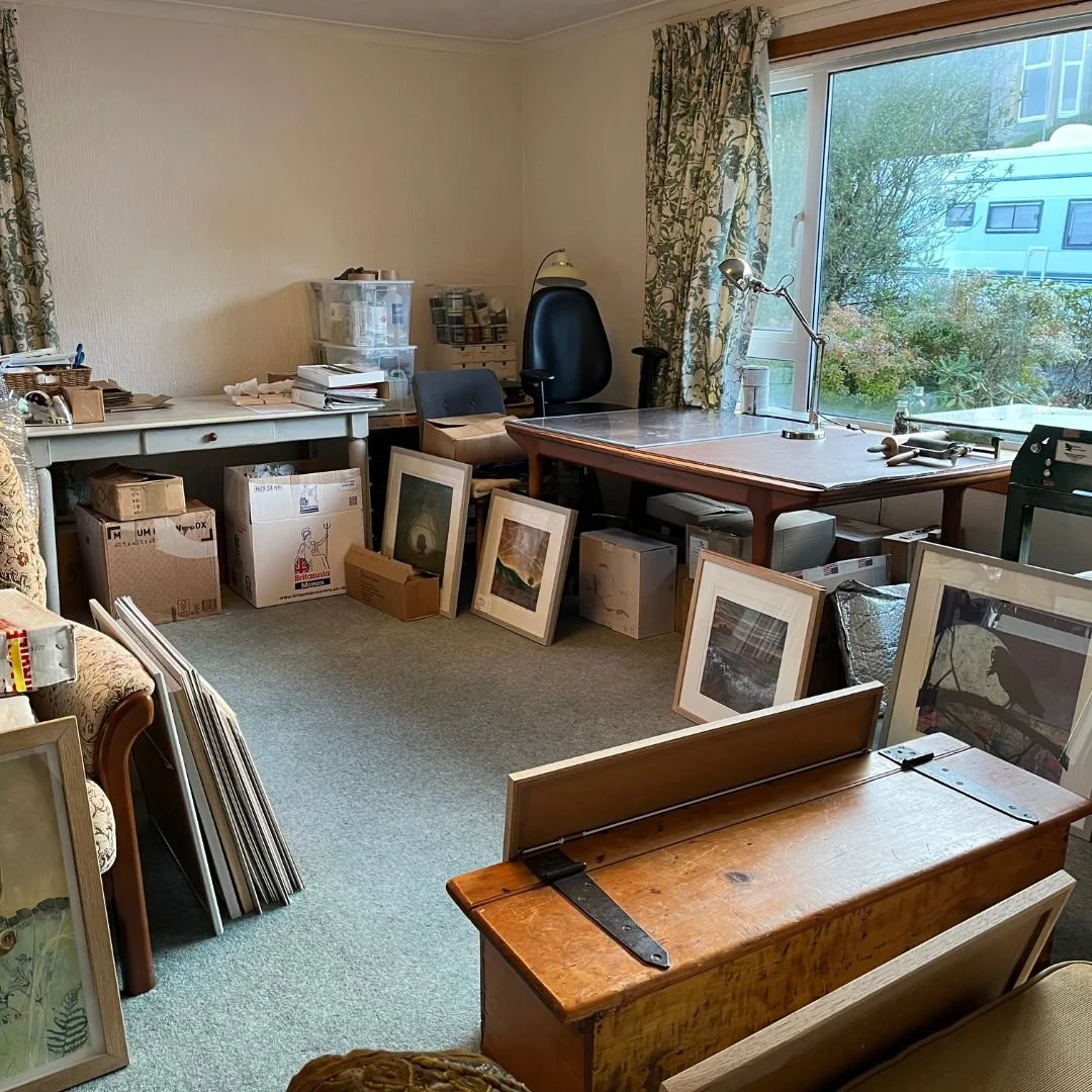 First Impressions Of My New Home — Carol Nunan