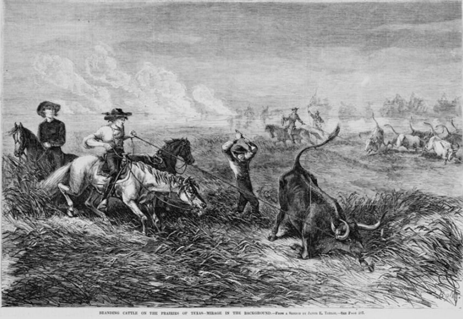 History of Cattle Drives and the Creation of an American Hero ...