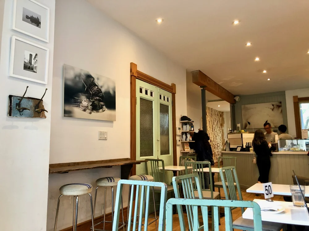 Top 10 Toronto Downtown Coffee Shops & Cafés — Sarah Freia