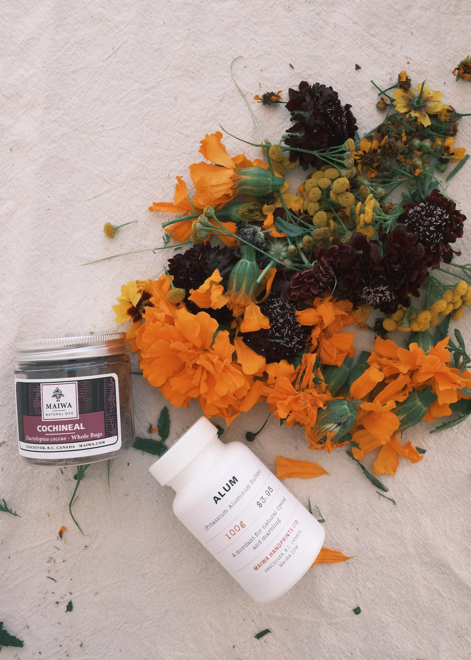 Lessons & Tutorials — Natural Dyes