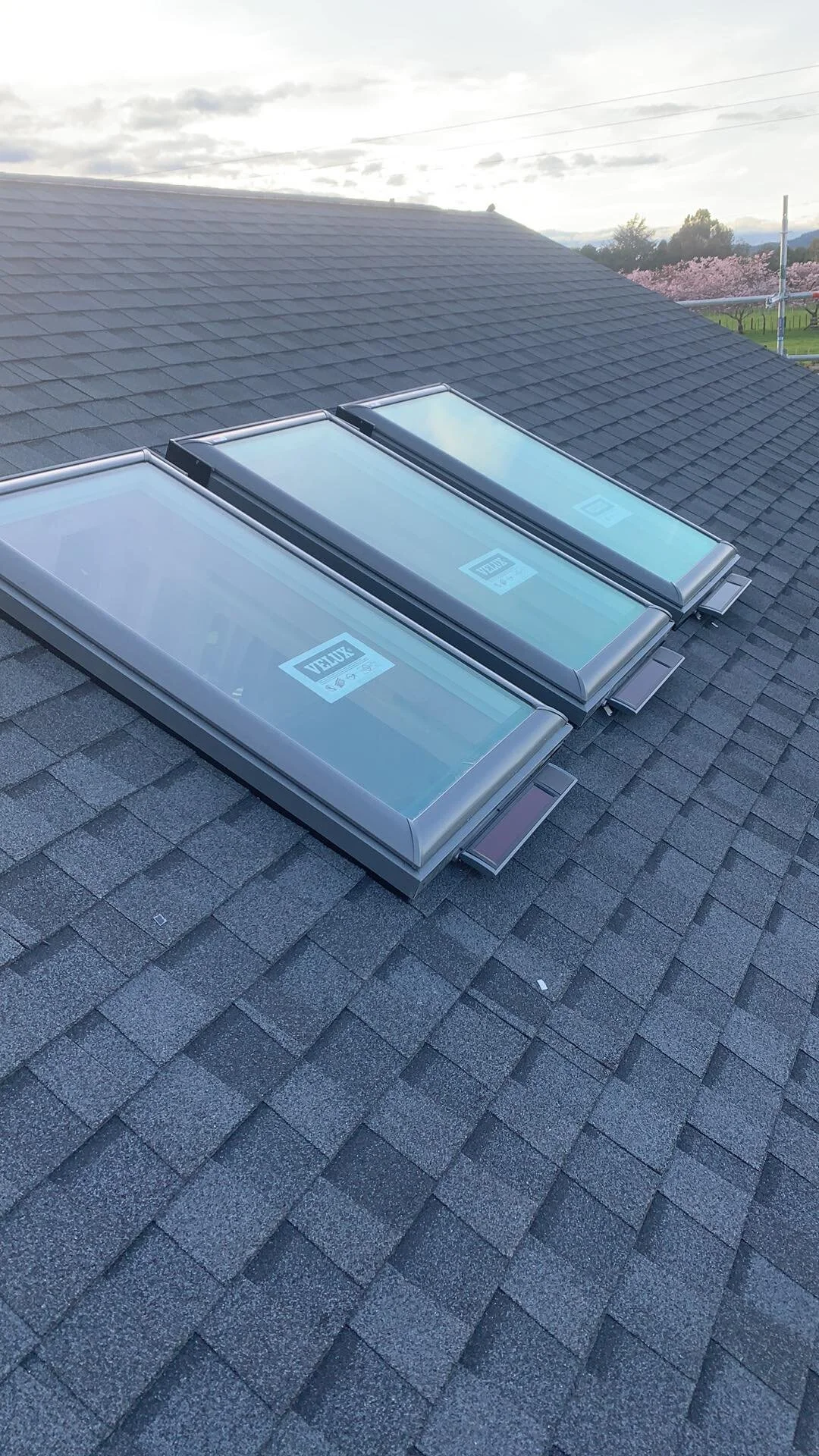 Roof and Velux Gallery — Character Roofing Ltd