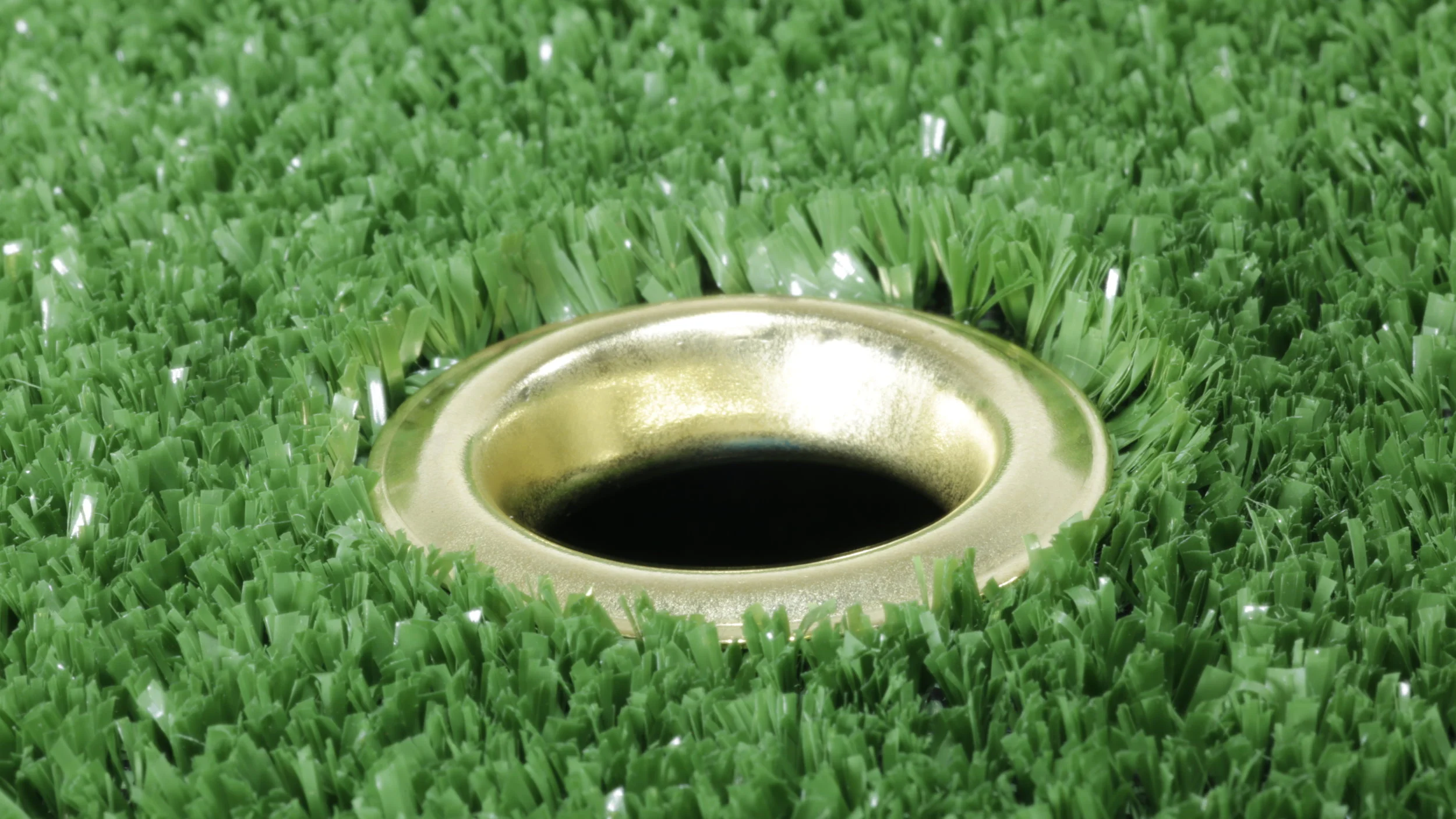 Artificial Walkway Grass — Teleshore