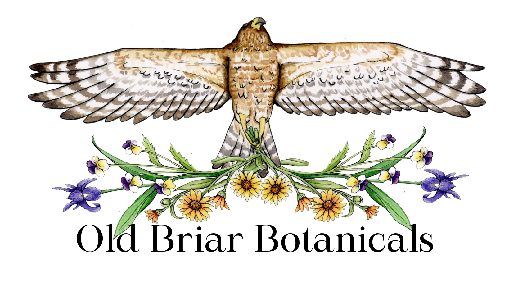 resources — old briar botanicals