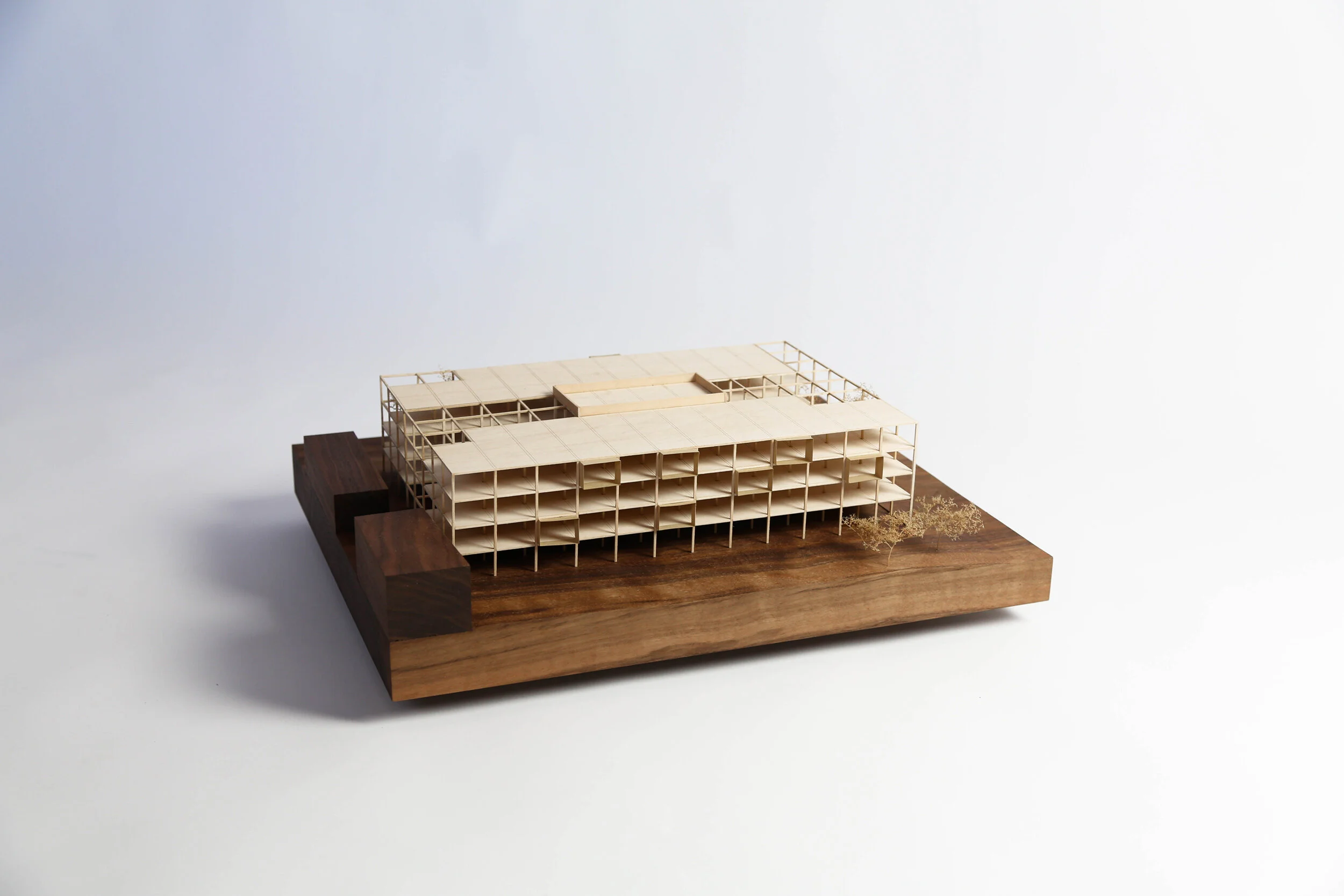 Models for presentations. — Polygenic Studio | Scale Models and Digital ...