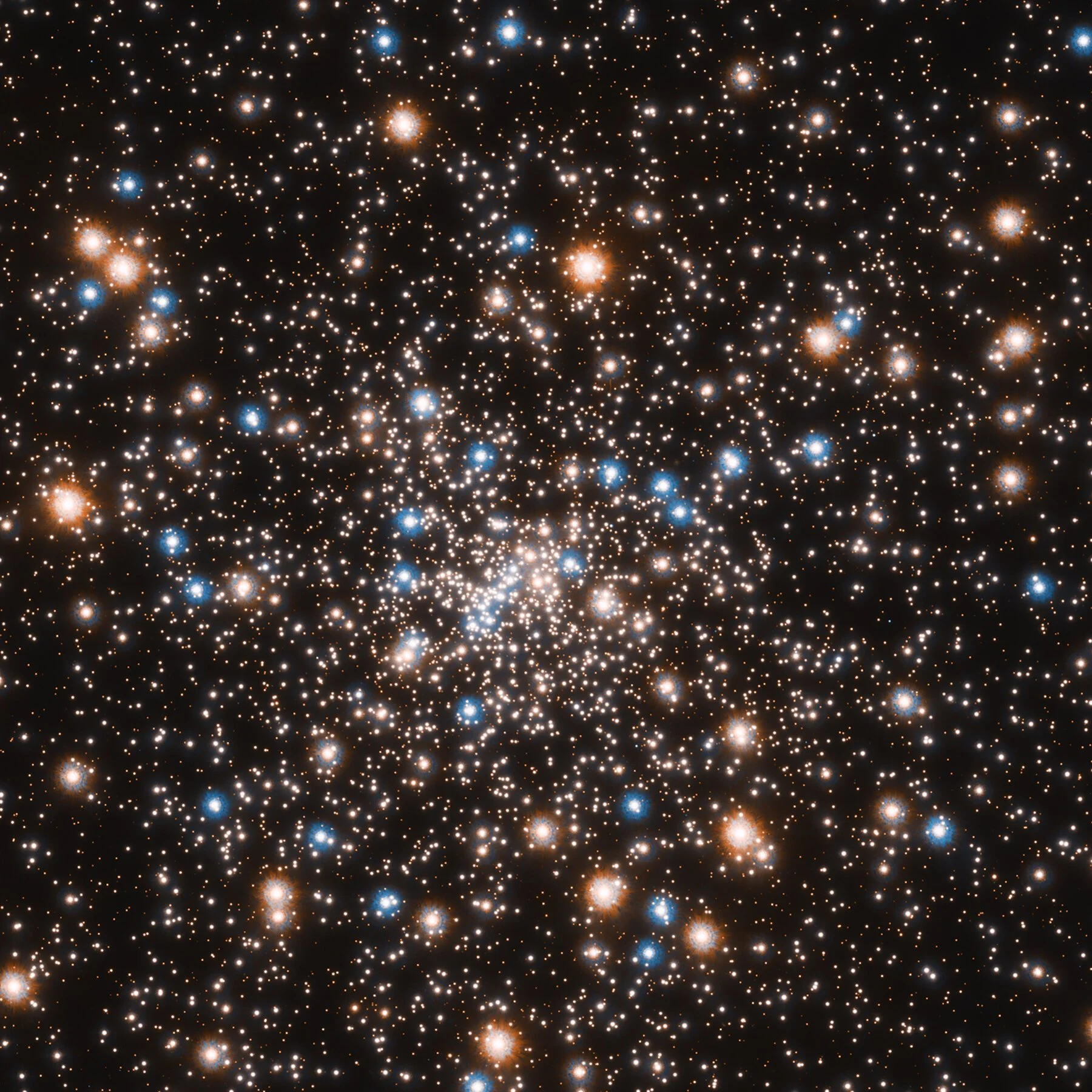 AI in Astronomy: A Dublin High School Student's Journey — INSPIRIT AI