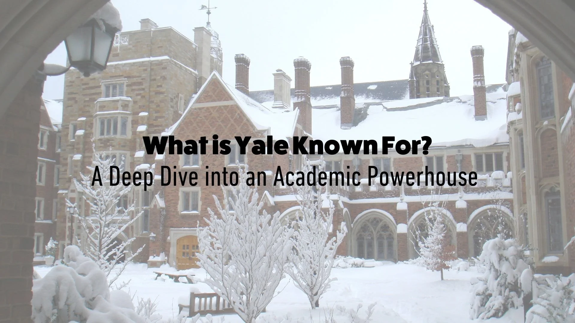 Yale Campus Winter