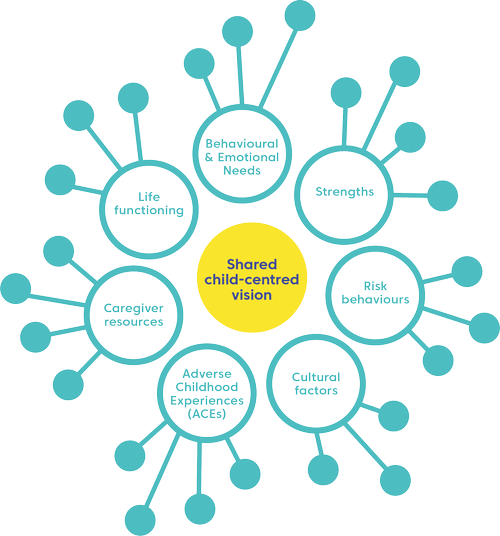 The Child & Adolescent Needs & Strengths (CANS) Assessment — OOC - The ...