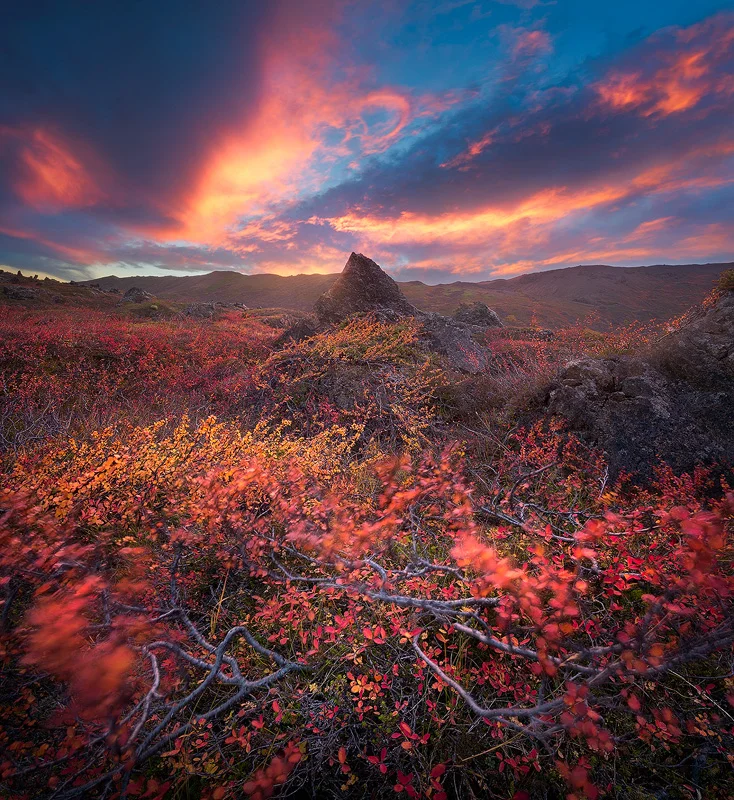 Mountain Landscapes — Laanscapes