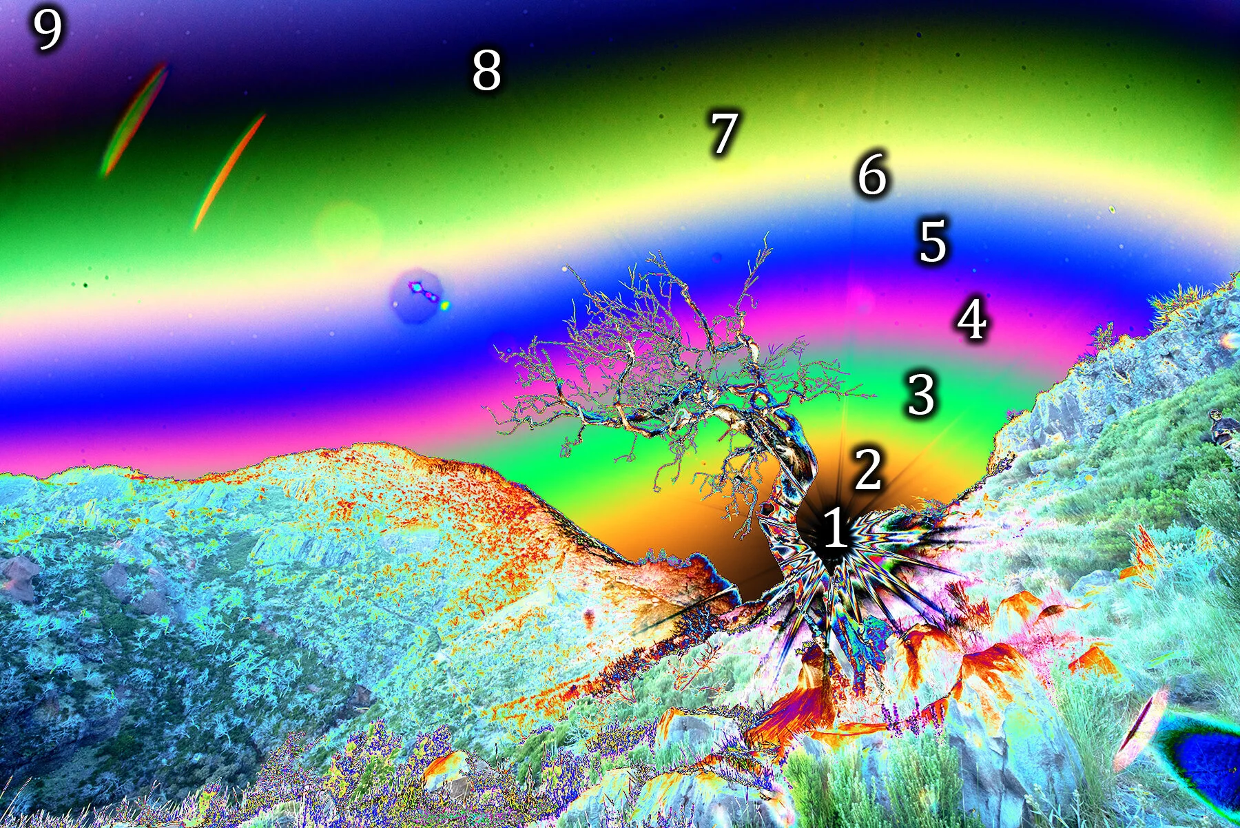 sRGB vs. Adobe RGB vs. ProPhoto RGB | When (not) to use Wide Gamut ...