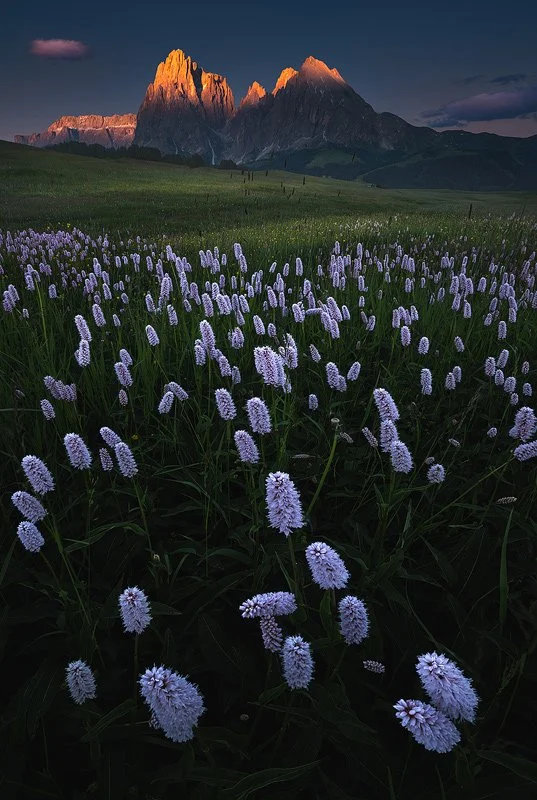 Mountain Landscapes — Laanscapes