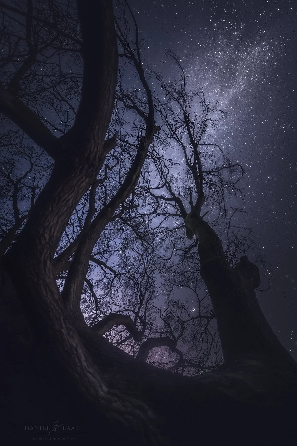 Best Landscape Photography Lens — Laanscapes