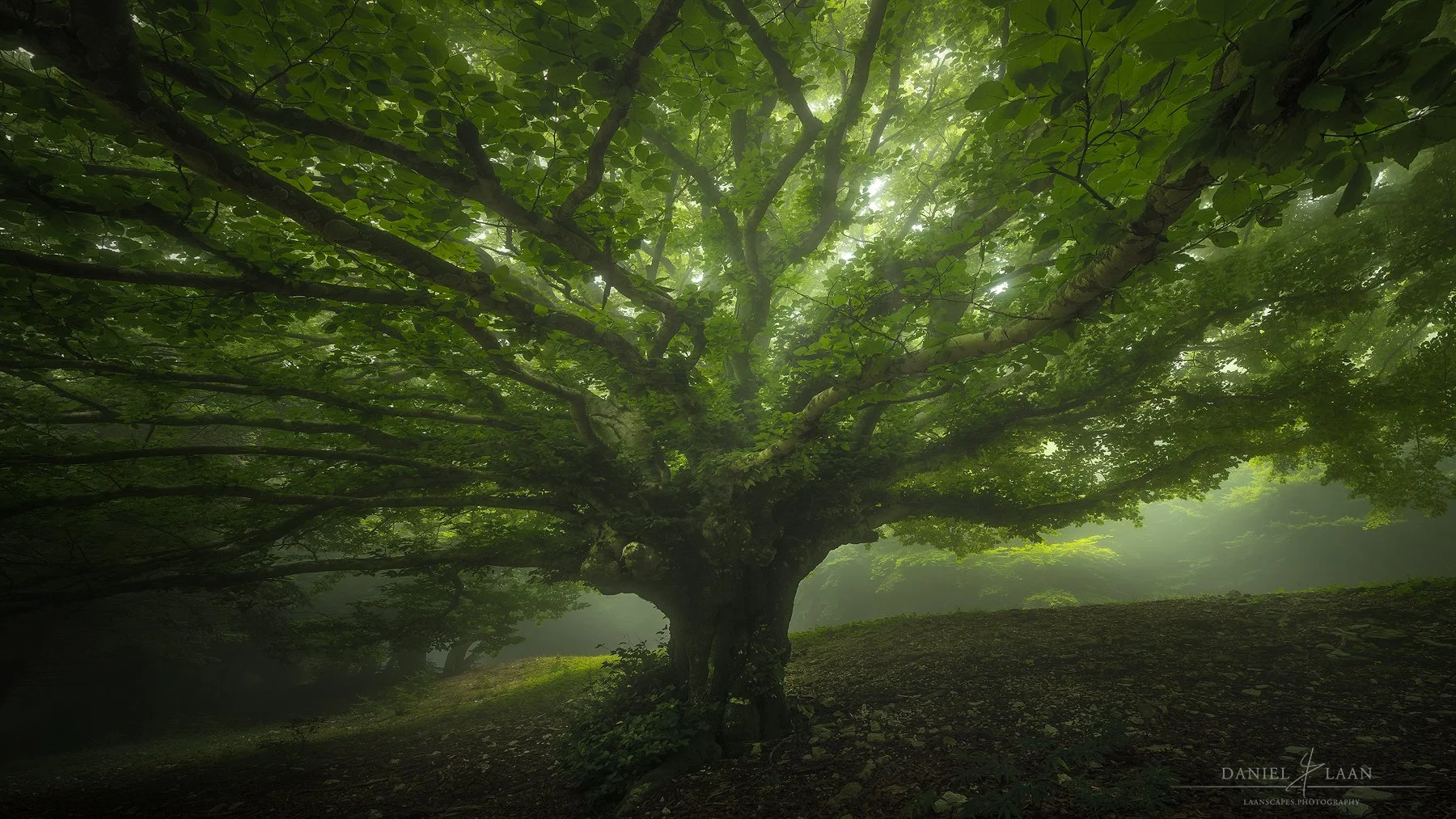 Best Landscape Photography Lens — Laanscapes