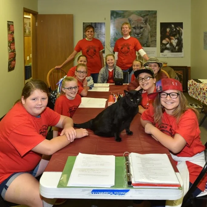 Camp Roar — Exotic Feline Rescue Center