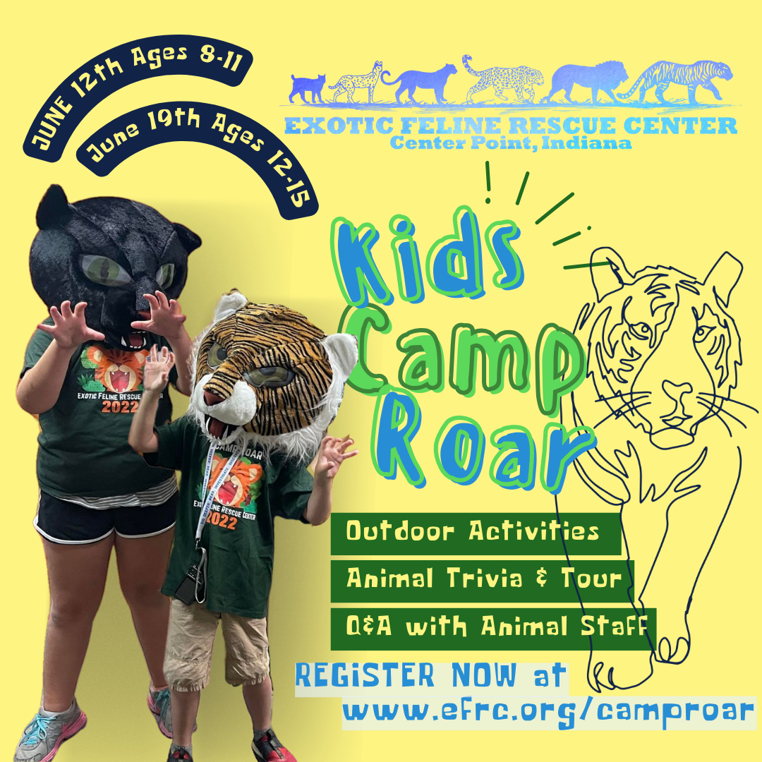 Special Events — Exotic Feline Rescue Center