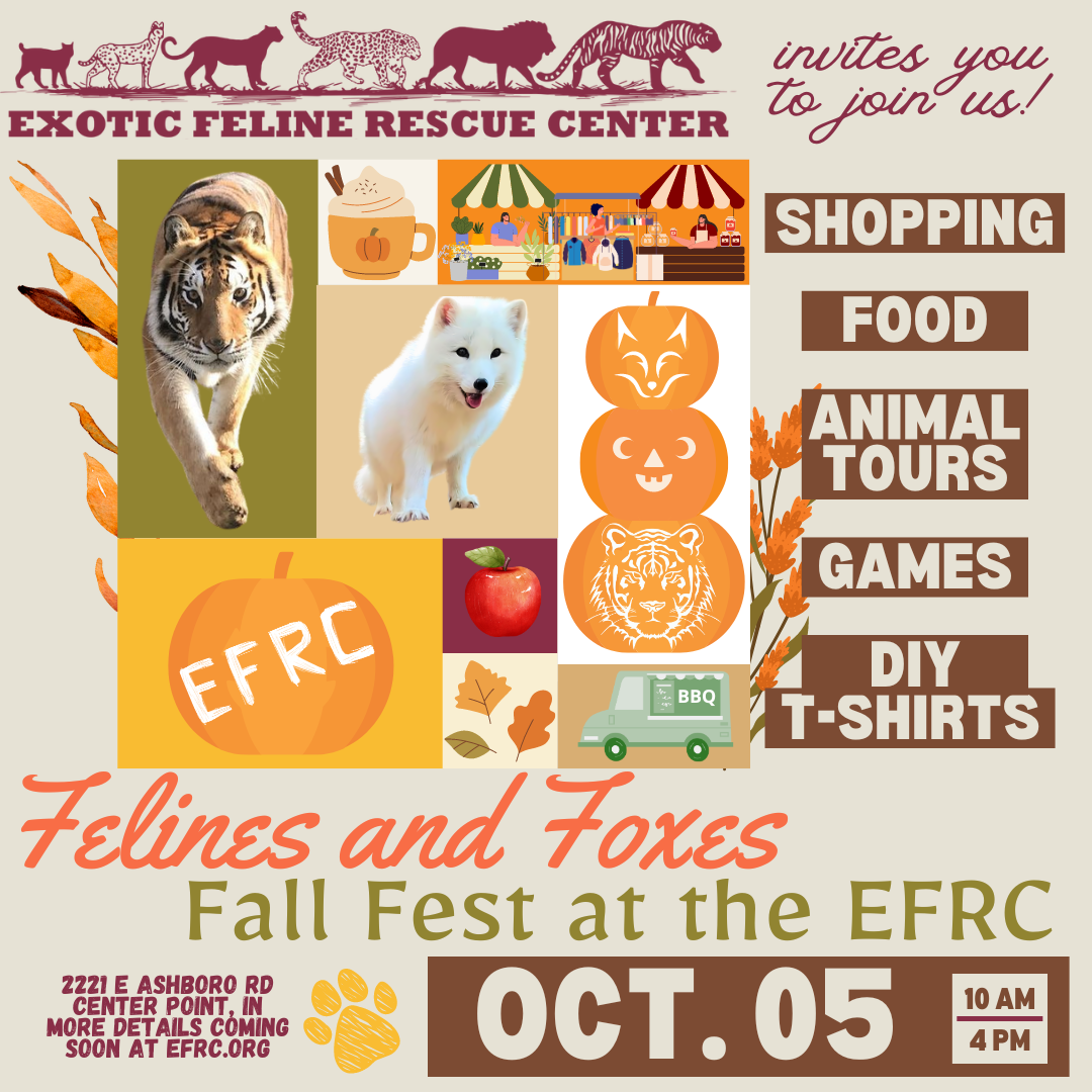 Exotic Feline Rescue Center