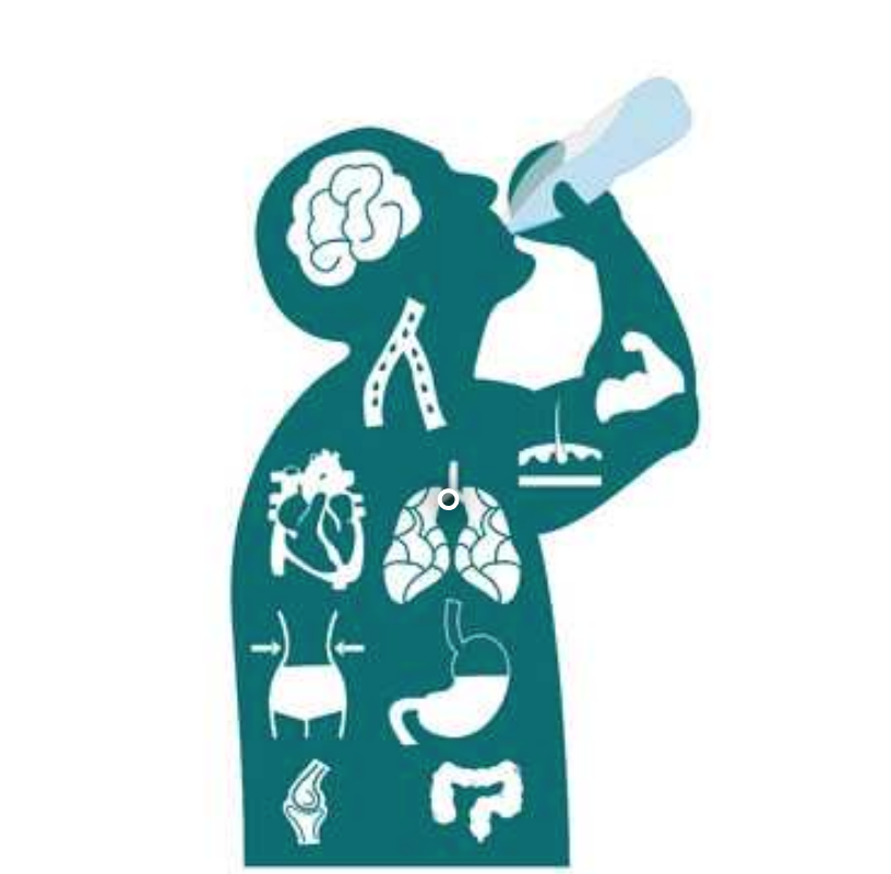 The Science Behind Hangovers Simplicity Spirits Co