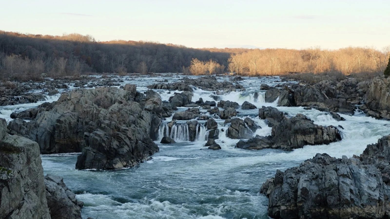 The Guide to Living in Vienna, Virginia | The Rappahannock River Company