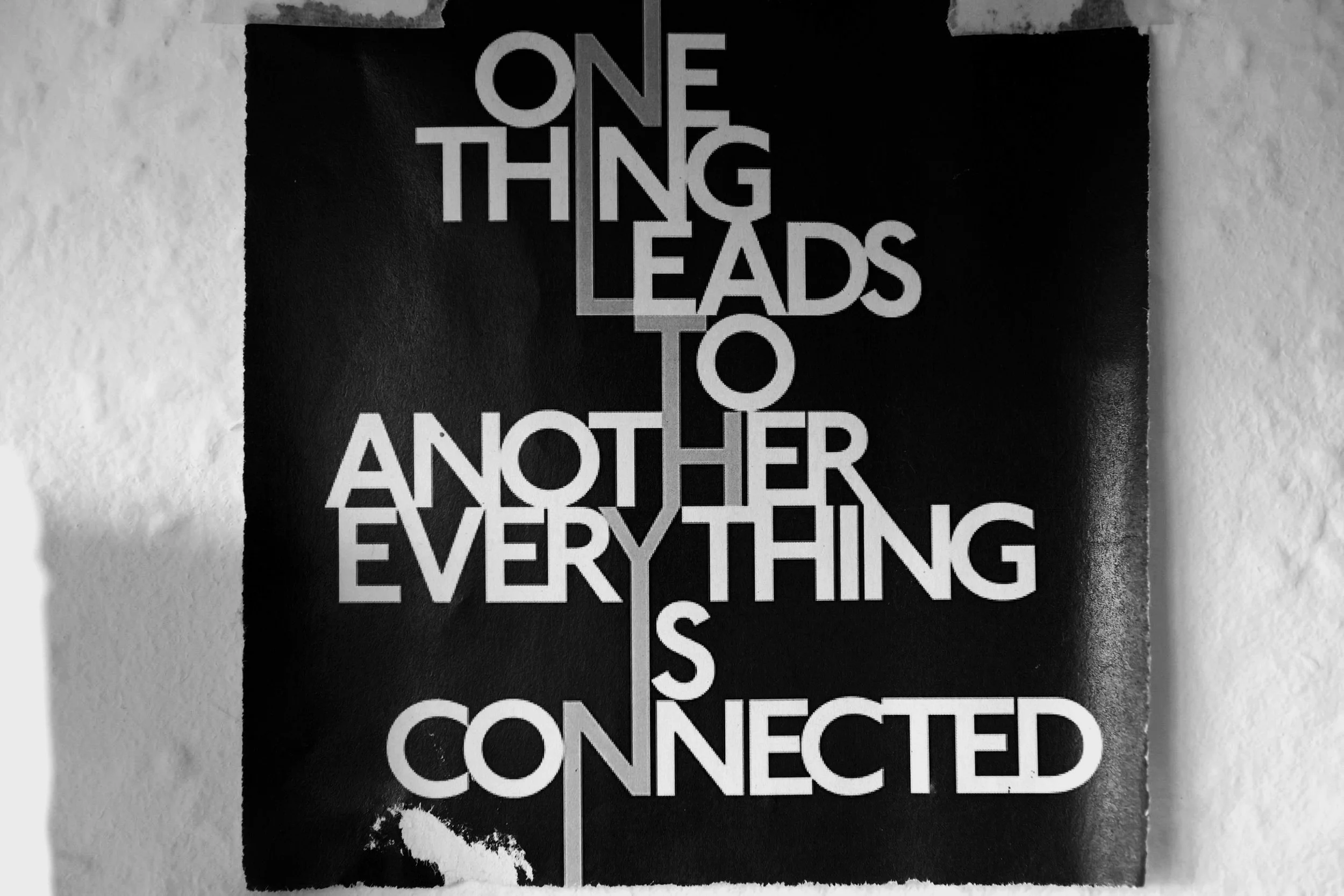 One Thing Leads to Another: Everything is Connected - Emma Boutet ...
