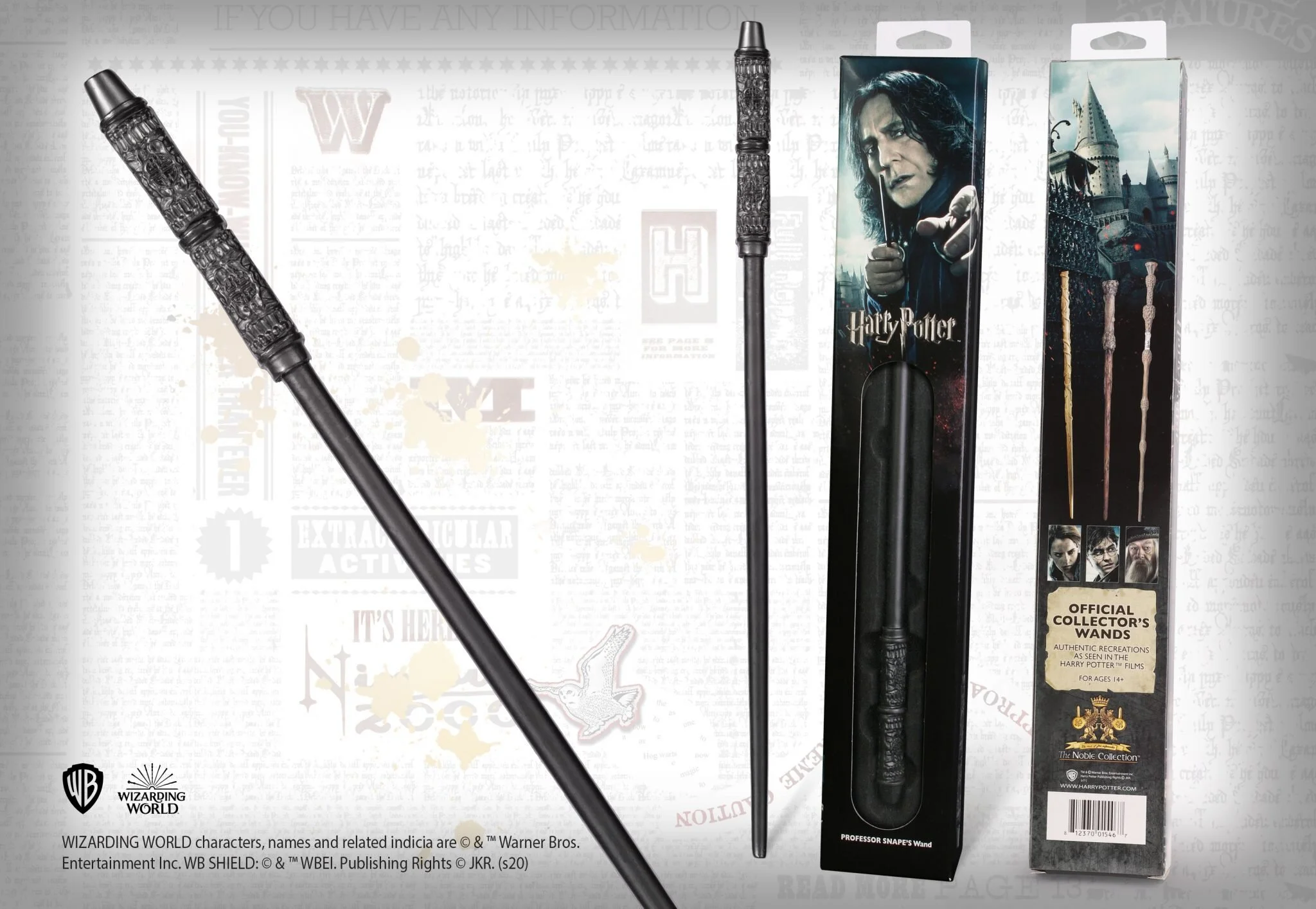 Harry Potter Wands in Window Wand Boxes — Harry Potter Database