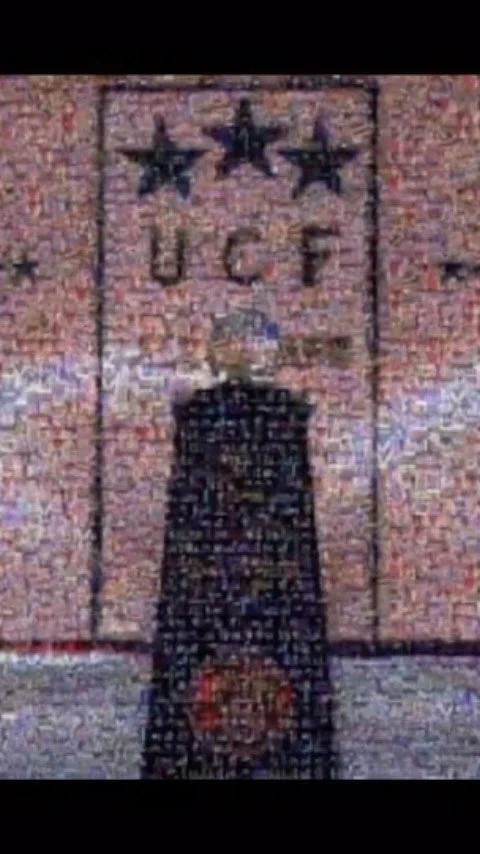 University Cheer Force