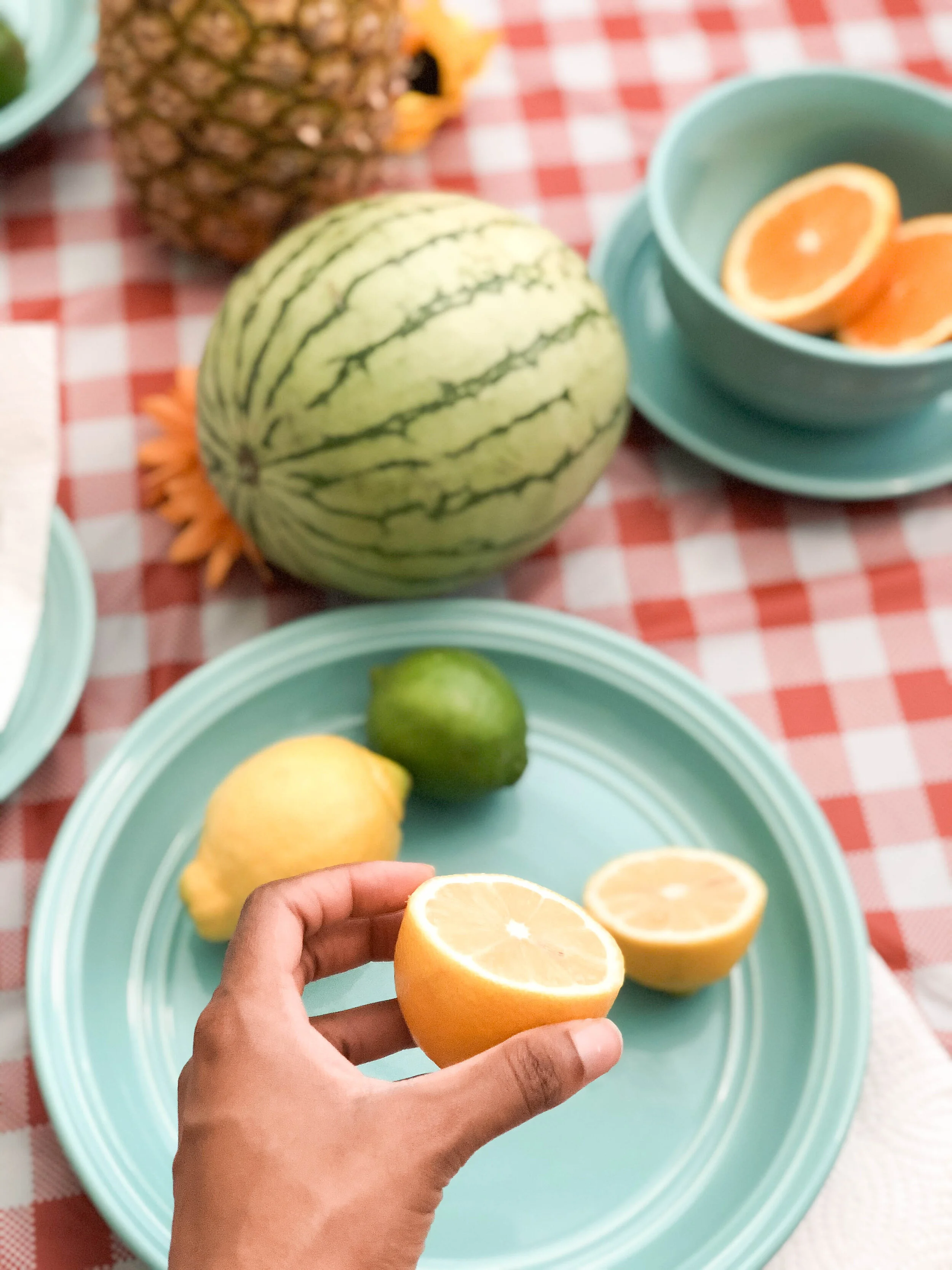 A Fun Summer Picnic with Walmart Home — The CQ