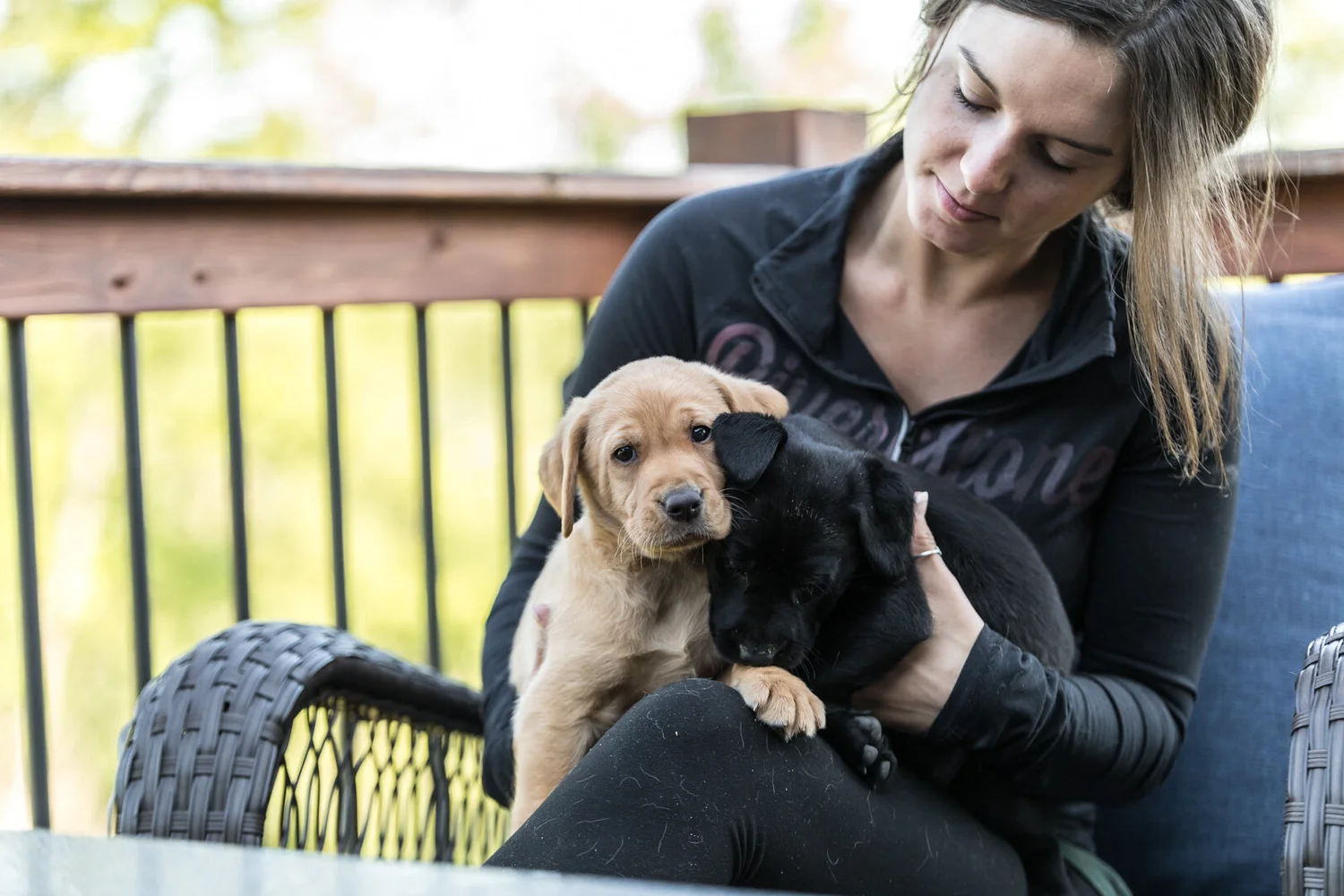 Selecting a Puppy — WELCOME TO RIVER STONE