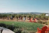One Day in Napa Valley — Lives of Lara