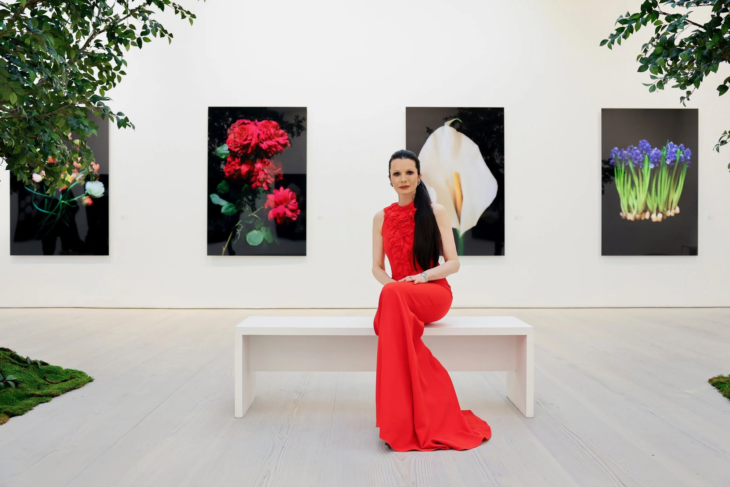 Garden Roses — Sarah Mancini