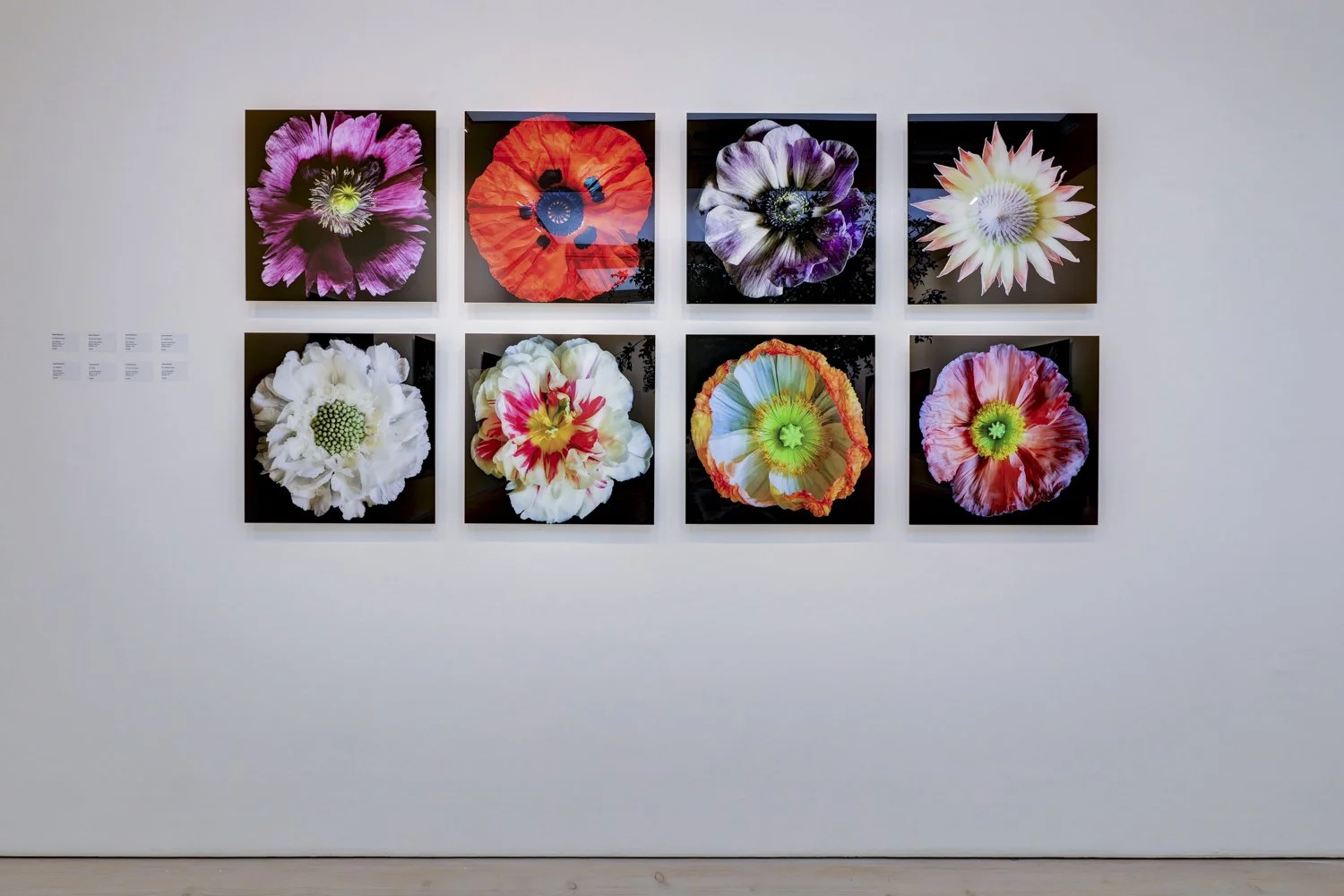 Saatchi Gallery Exhibition 8th November 2023 — Sarah Mancini