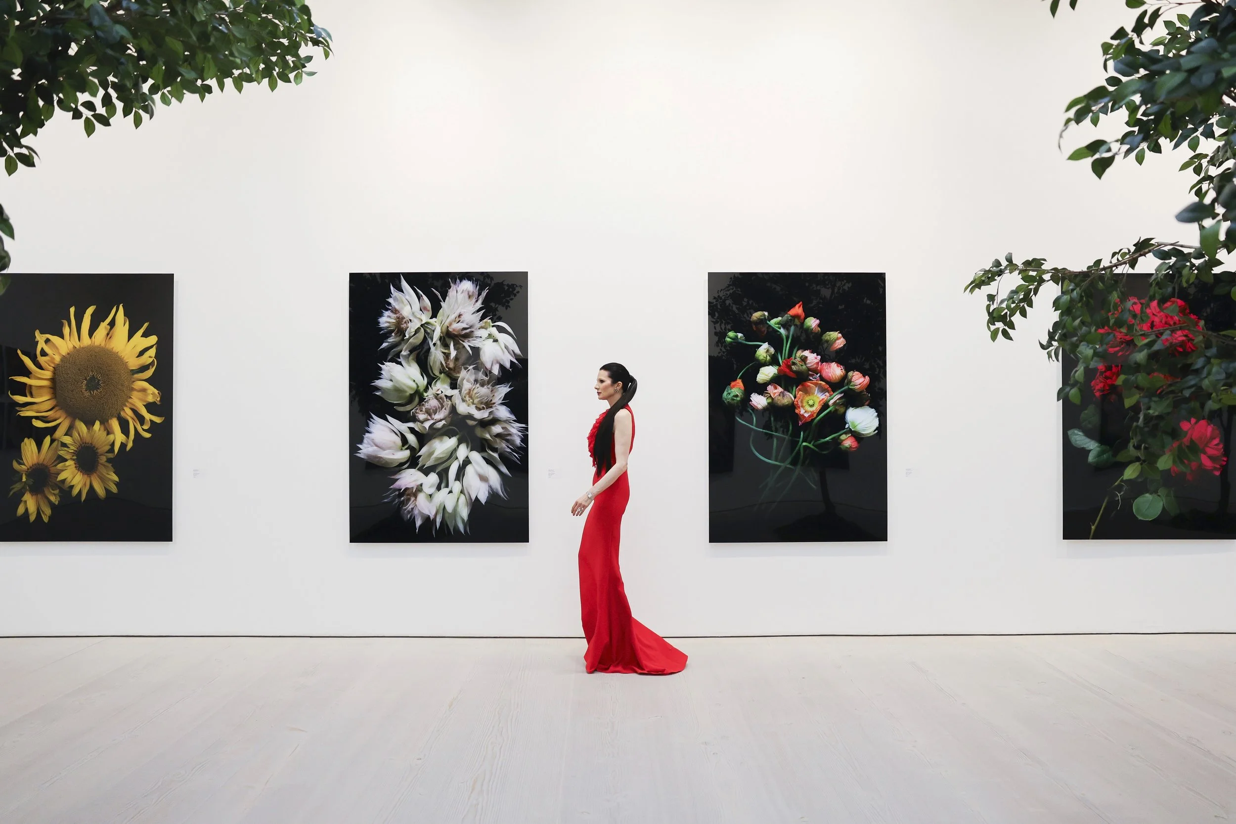 Sarah Mancini Photographer — Sarah Mancini