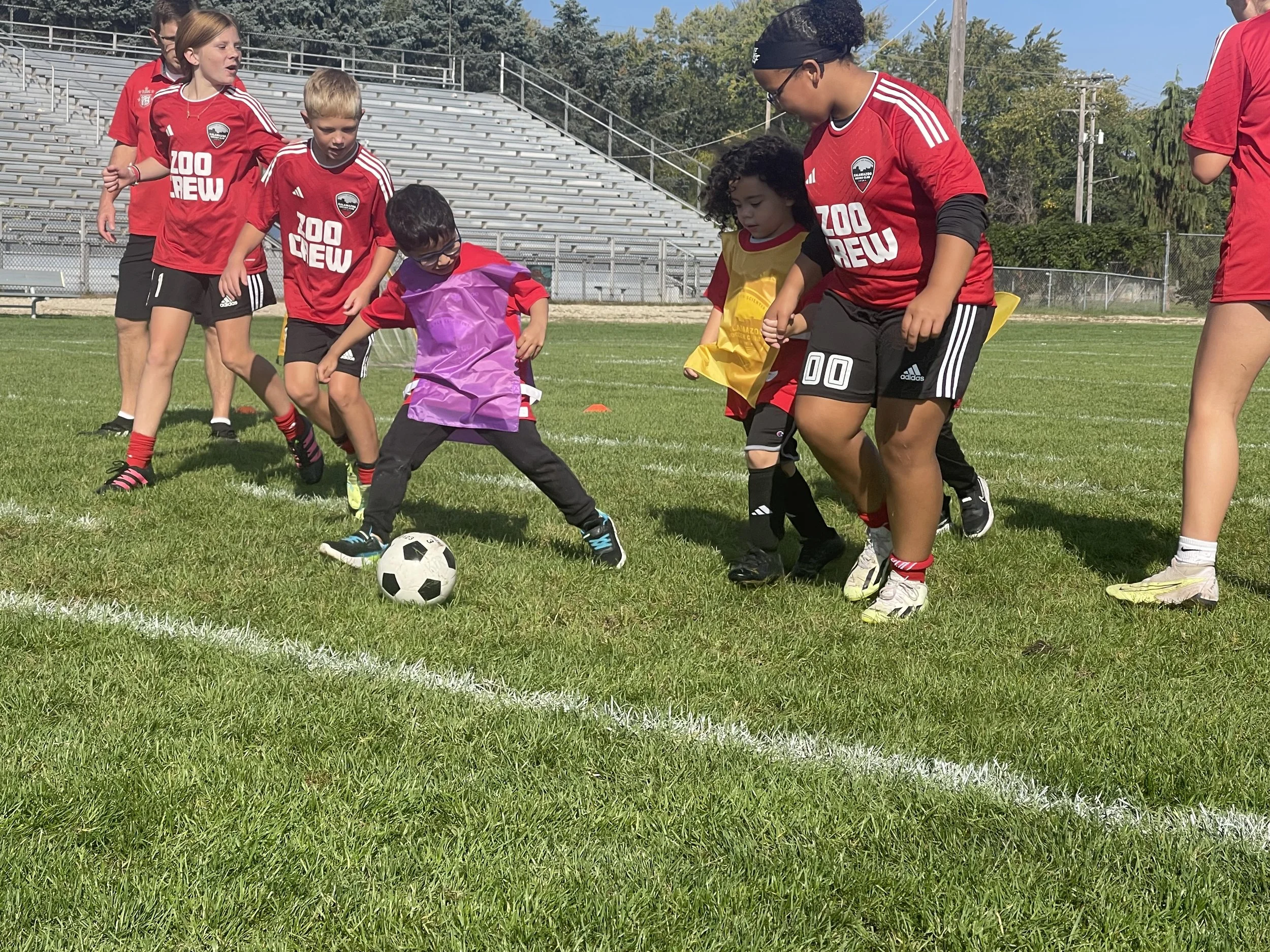 Academy, Little Tots, & Mini-Kickers Kalamazoo Soccer Club — Kalamazoo ...