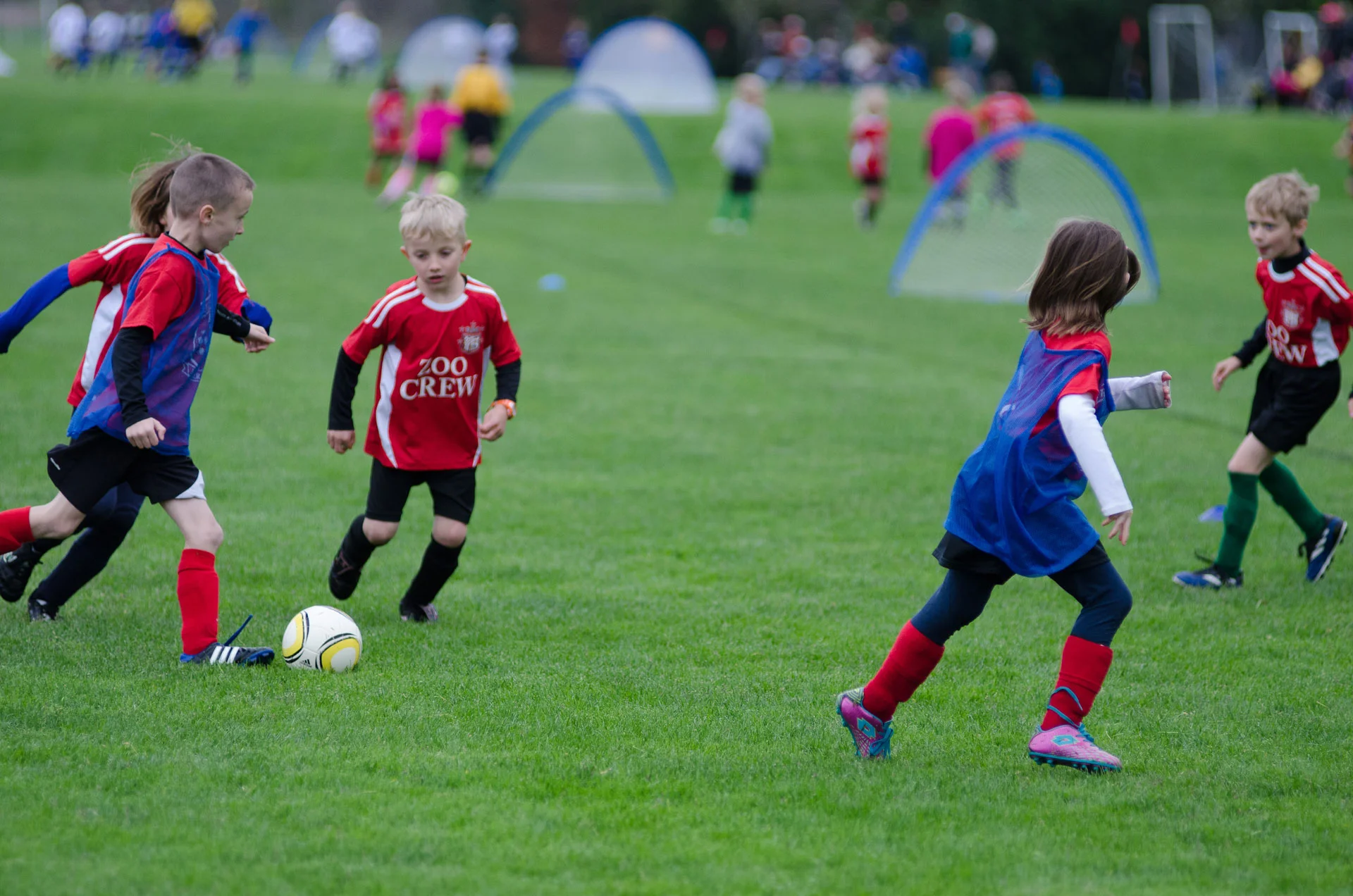 Academy, Little Tots, & Mini-Kickers Kalamazoo Soccer Club — Kalamazoo ...