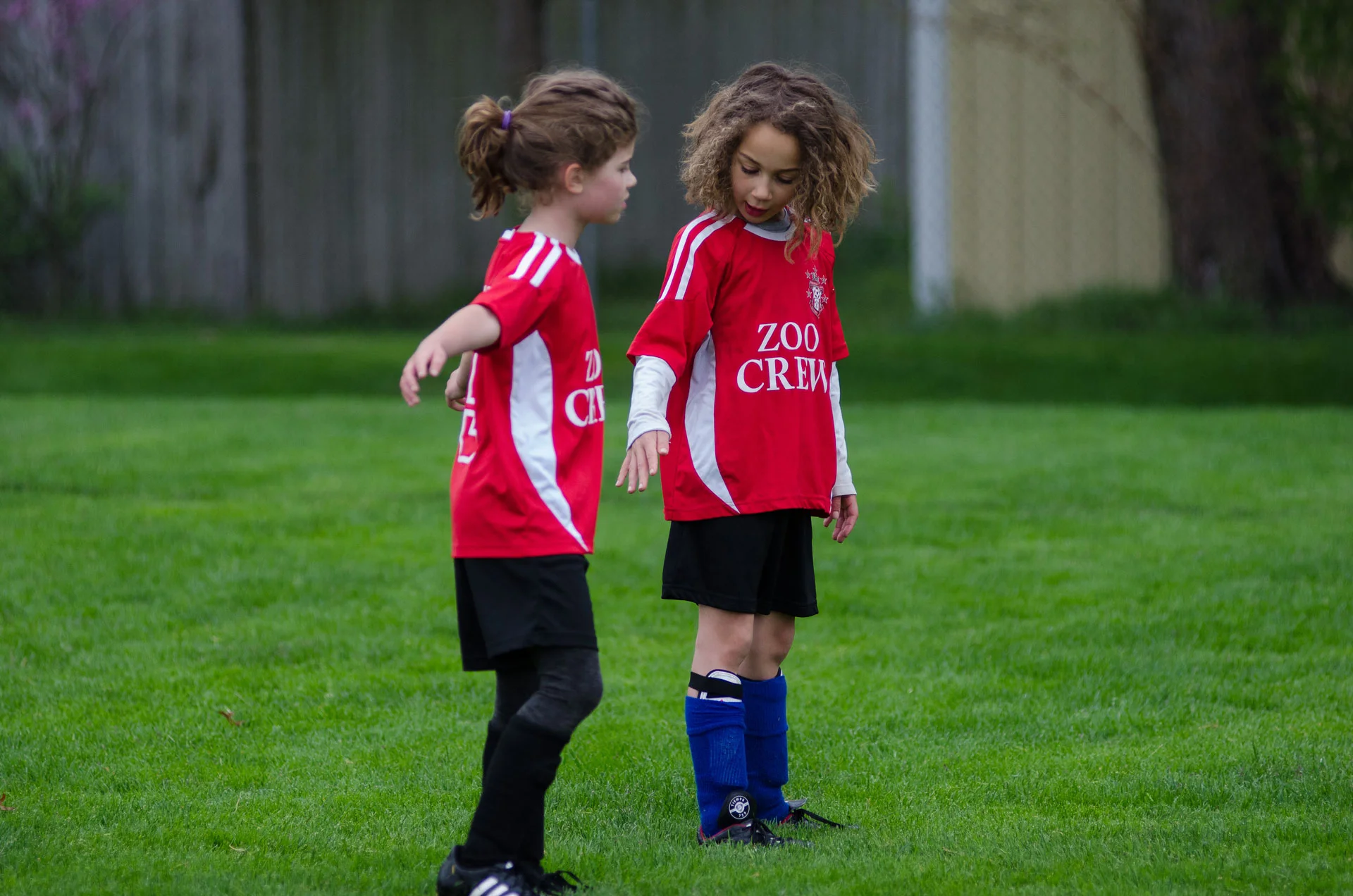 Academy, Little Tots, & Mini-Kickers Kalamazoo Soccer Club — Kalamazoo ...