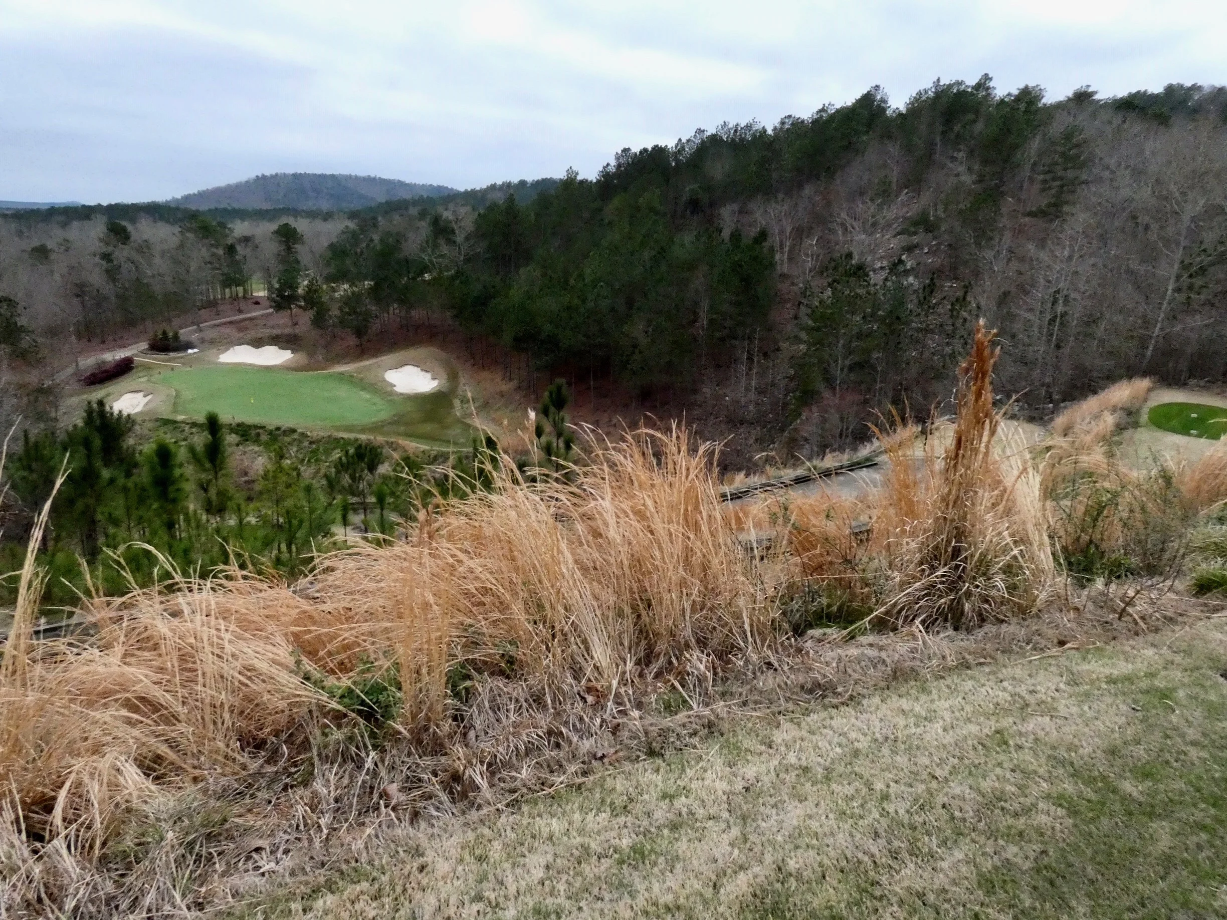 Farmlinks — Lying Four