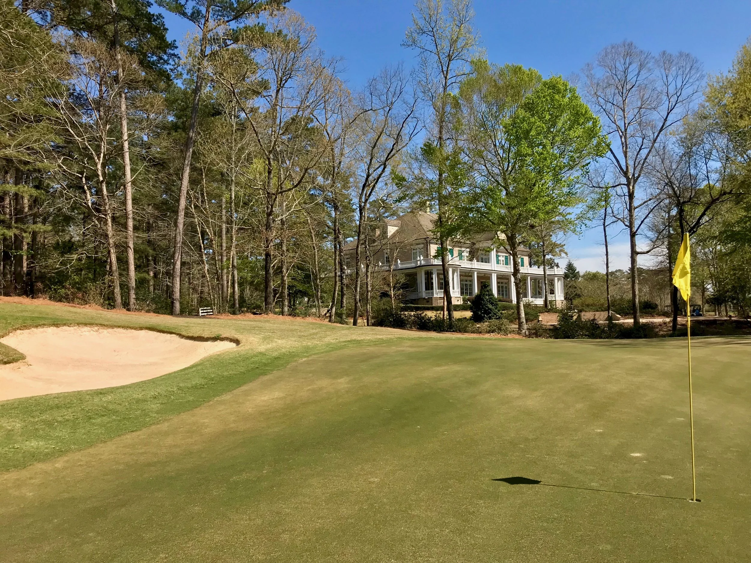 Dancing Rabbit (Azaleas) — Lying Four