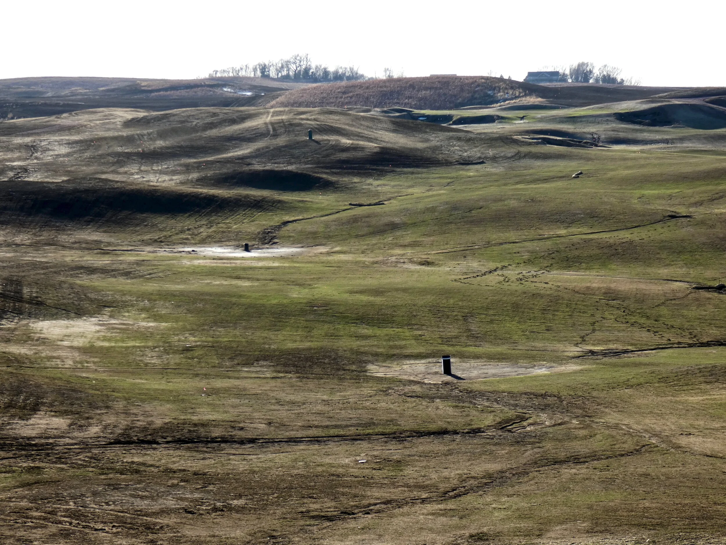 In Nebraska, Landmand is King Collins' Next Very Big Thing — Lying Four