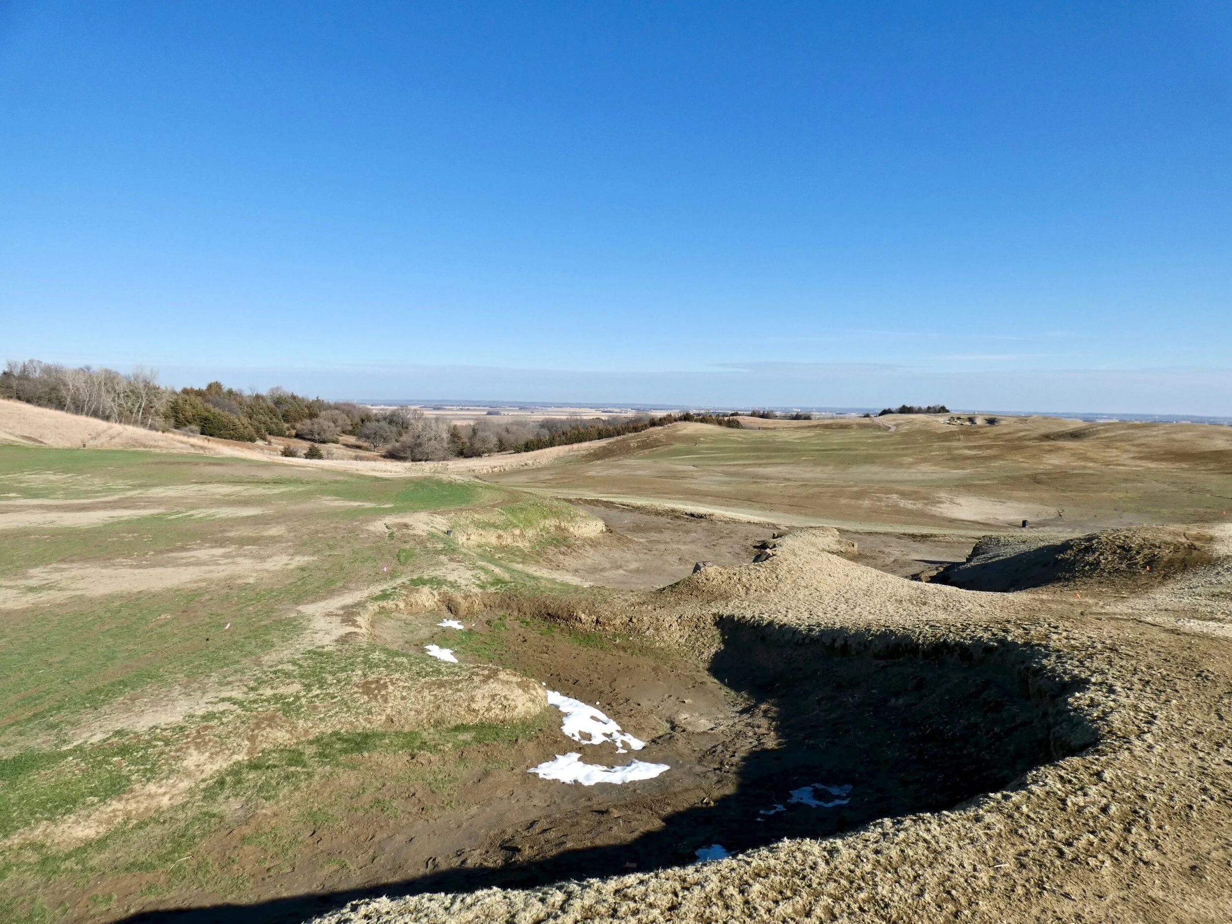 In Nebraska, Landmand is King Collins' Next Very Big Thing — Lying Four