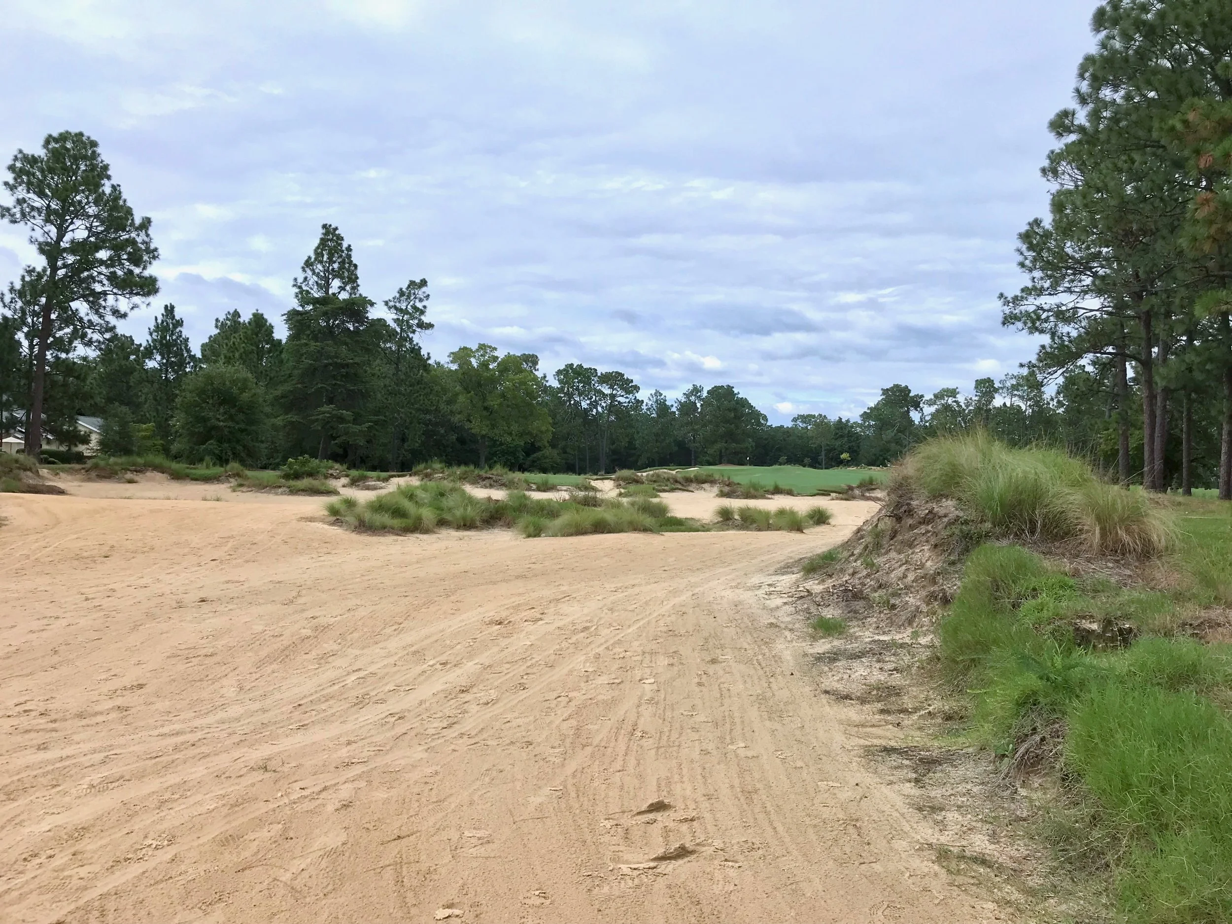 Pinehurst's Missed Opportunity — Lying Four