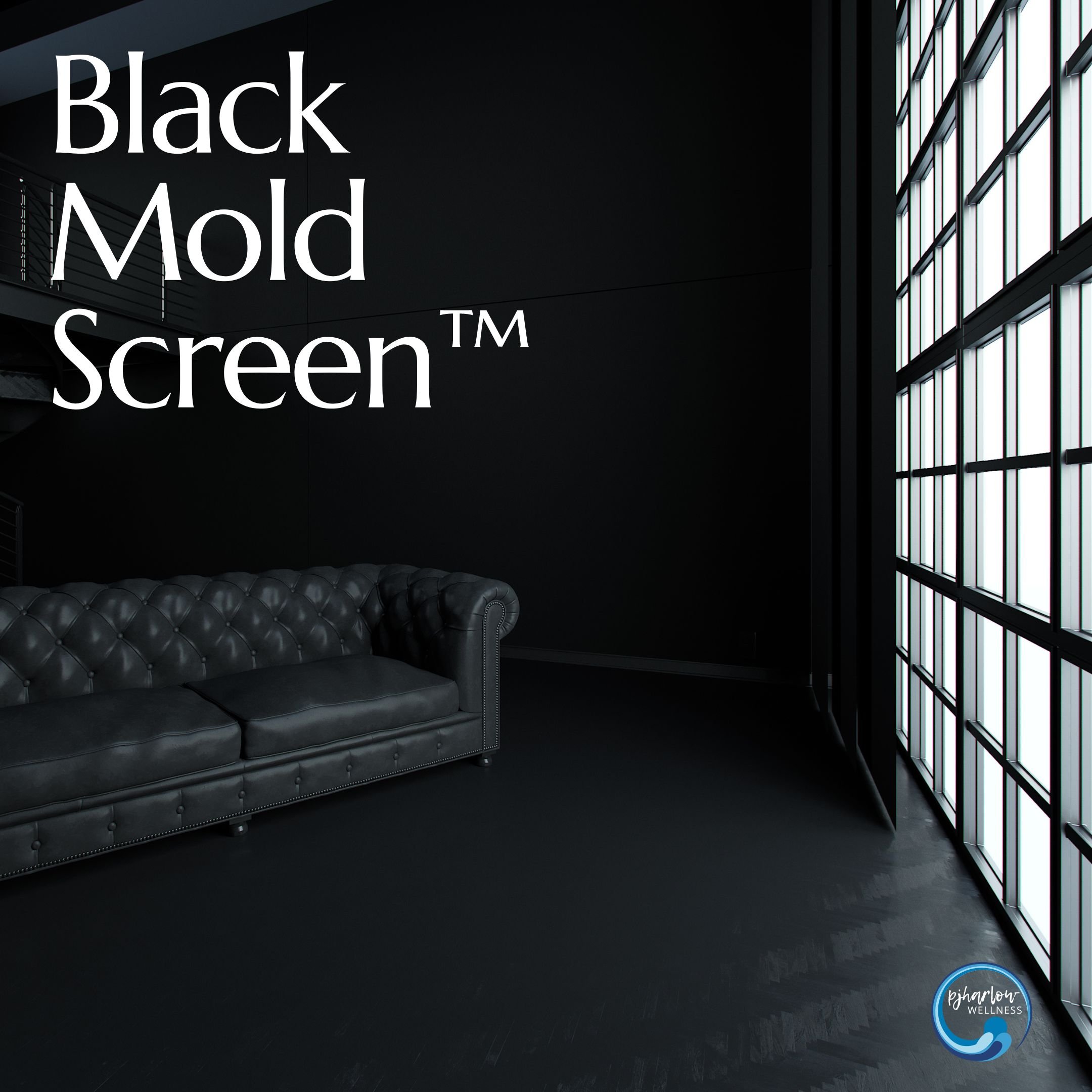 PJ Harlow Wellness Inc. — Mold Testing Catalog