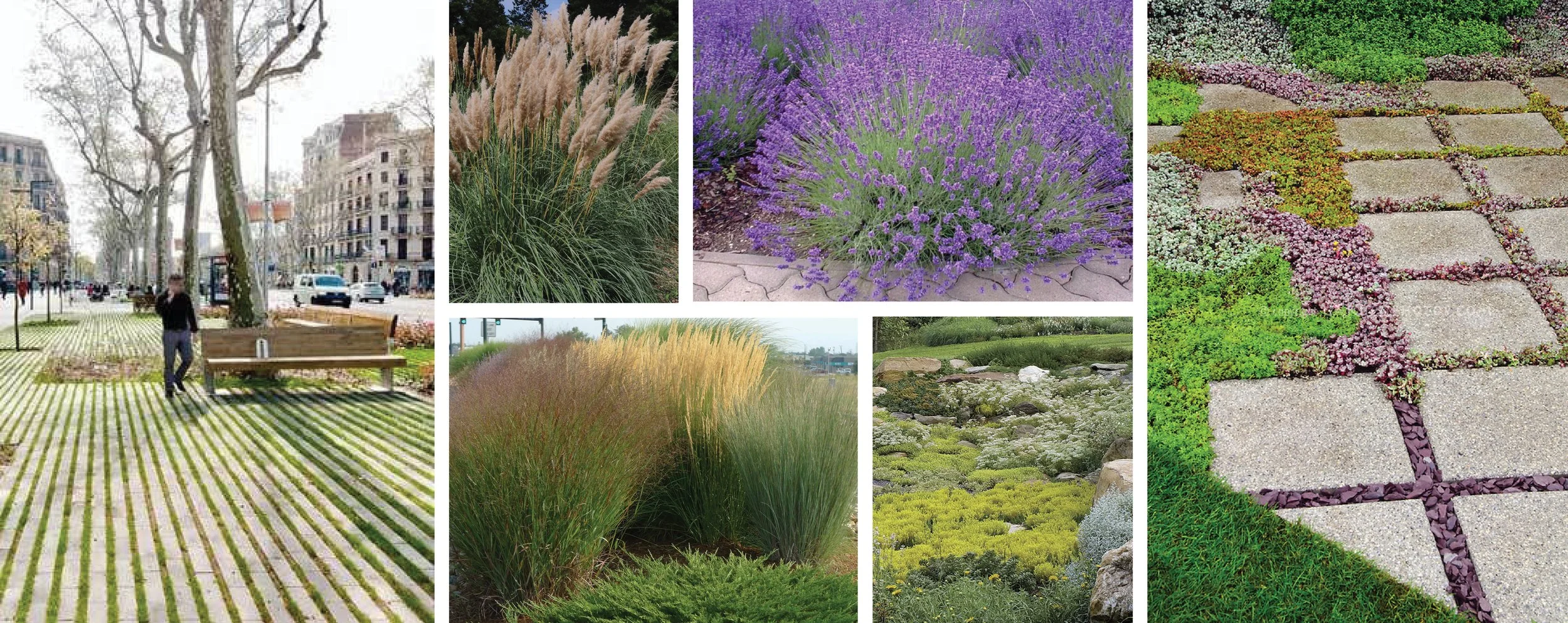 Batchawana Bay Rest Area — ENFORM