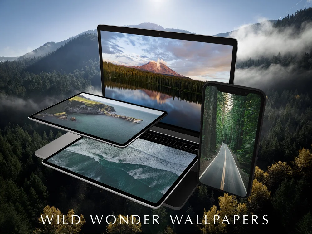 "Wild Wonder" by Stephen Proctor — P R Ø K T R