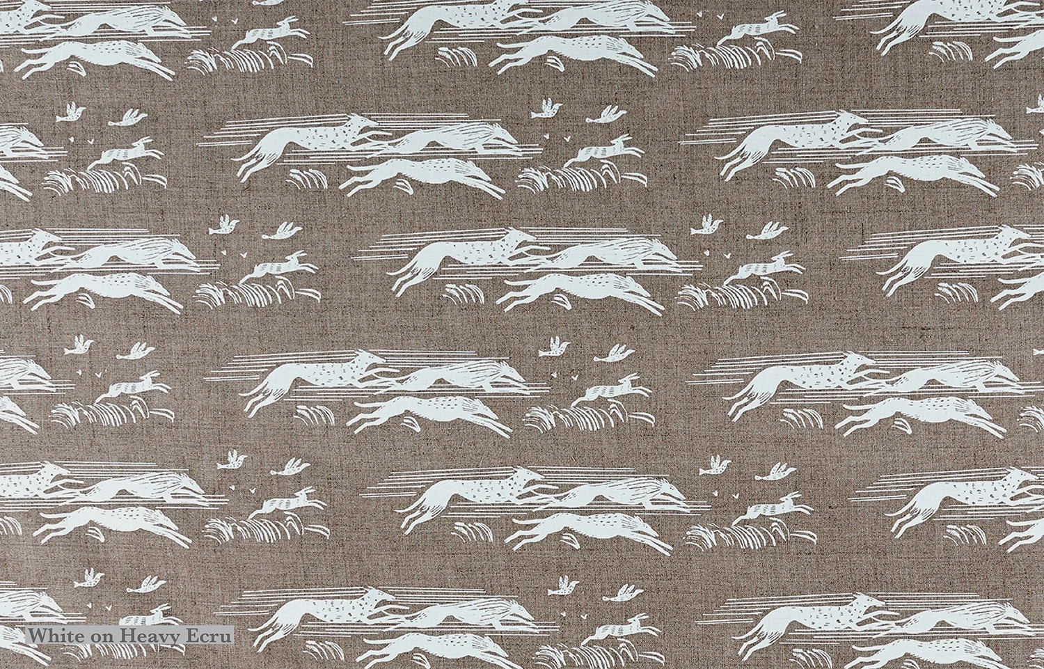 Whippets — Virginia White Collection