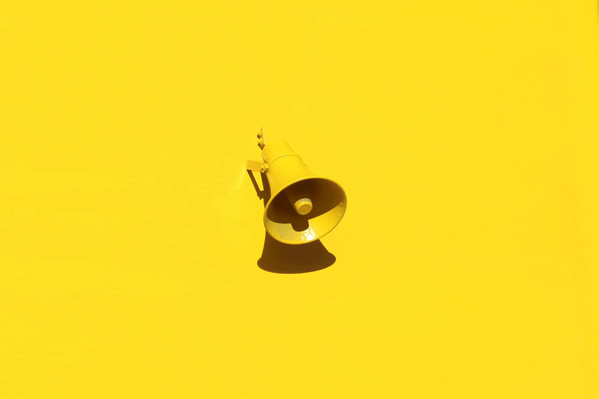 Bee Influence - Influencer Marketing Agency Manchester