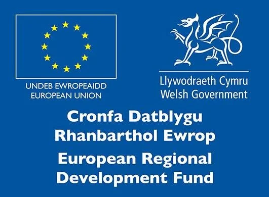 Something Different Wholesale founder shares her entrepreneurial ...