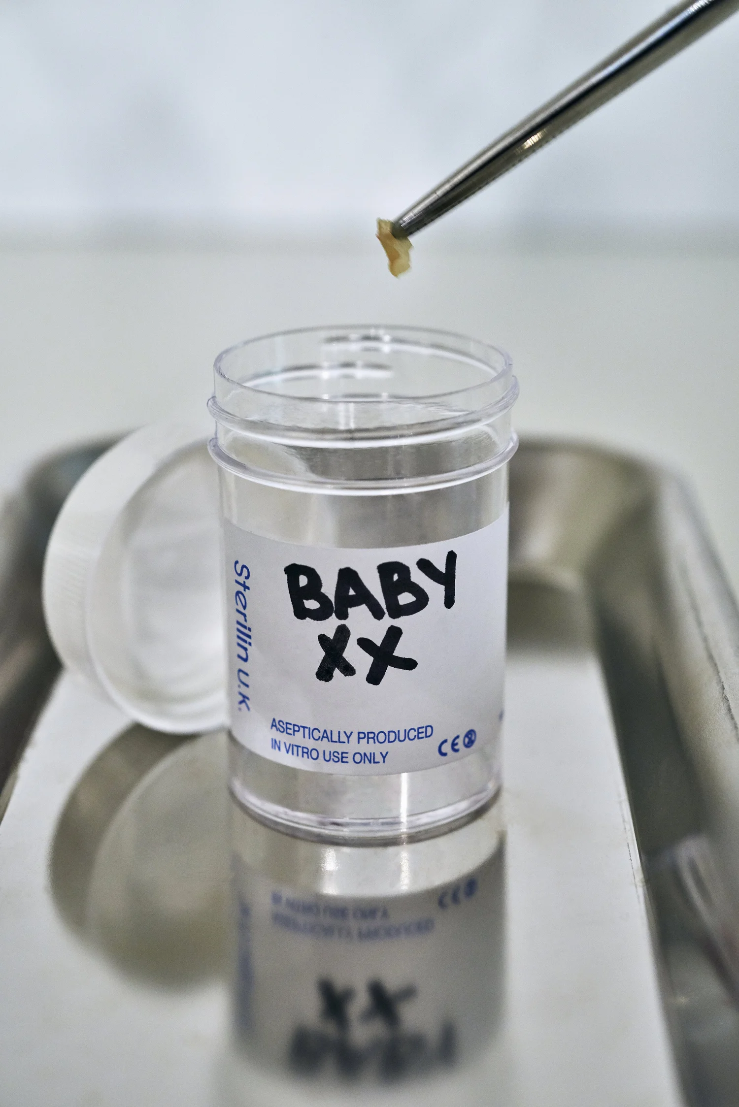 Rachel Foley — MA Material Futures