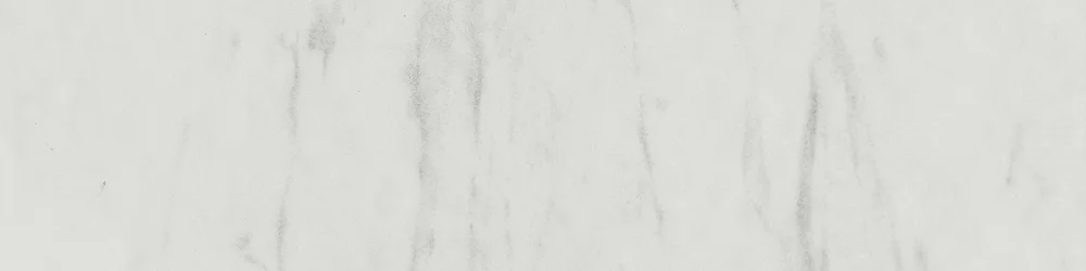 TRACKS Integrated Services