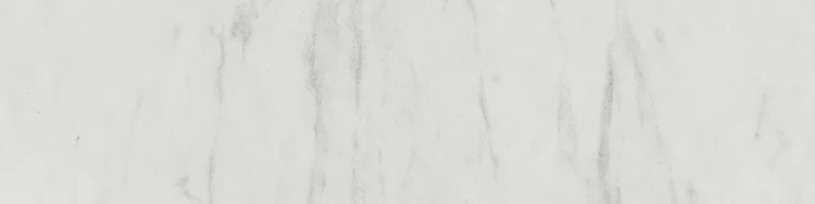 TRACKS Integrated Services