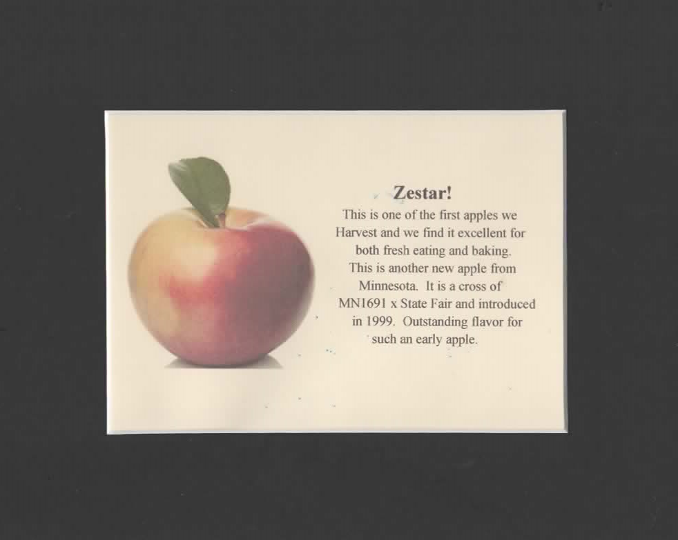 Modern Apples — Montgomery Place Orchards